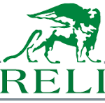 AURELIUS Finance Company | National Timber Group - private-equitynews.com