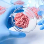 The Rise of Cultivated Meat and the Role of Private Equity in its ...